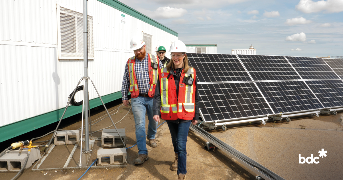 Net zero company case study