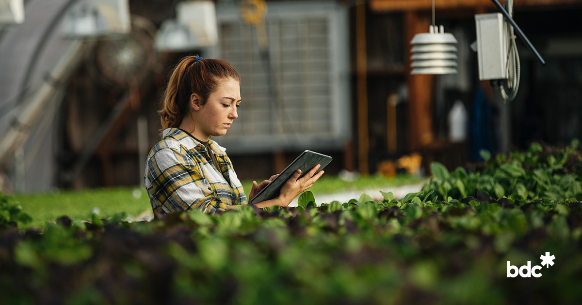 What are the benefits of climate-friendly business practices?