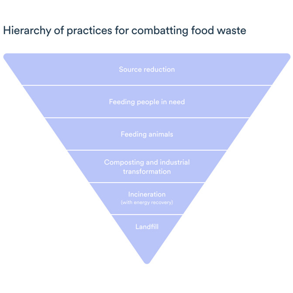 How to reduce food and organic waste | BDC.ca