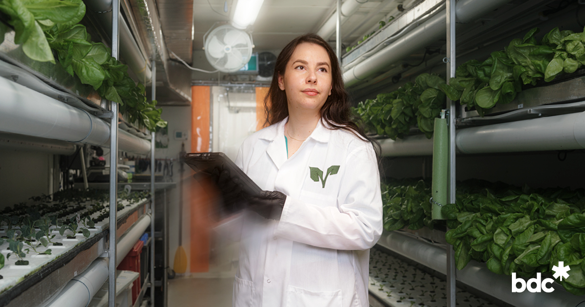 Growcer Modular Vertical Farms—case study